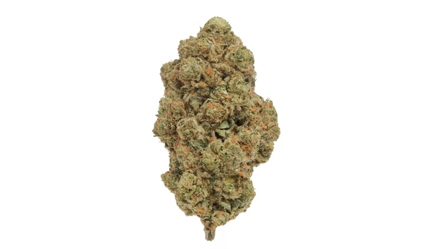 Shop - Spring Lake Park Dispensary